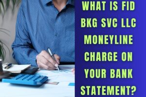 FID BKG SVC LLC Moneyline Charge On Bank Statement?